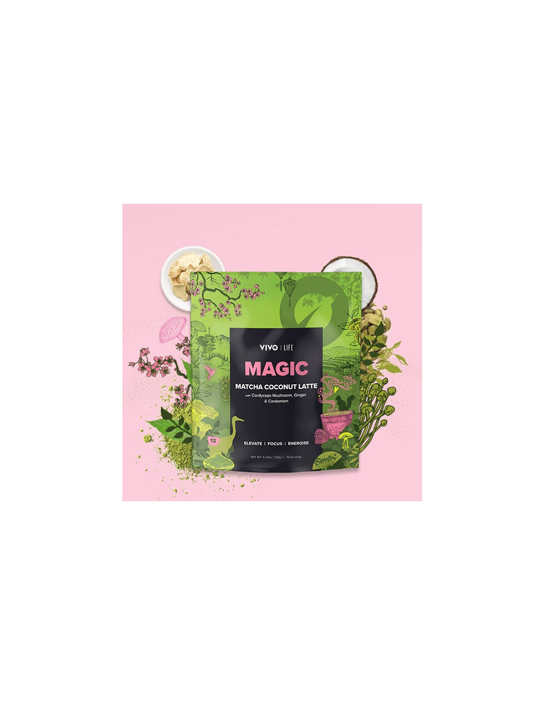 Matcha & Coco Latte en poudre 120g | Bio & Vegan | Vivo life